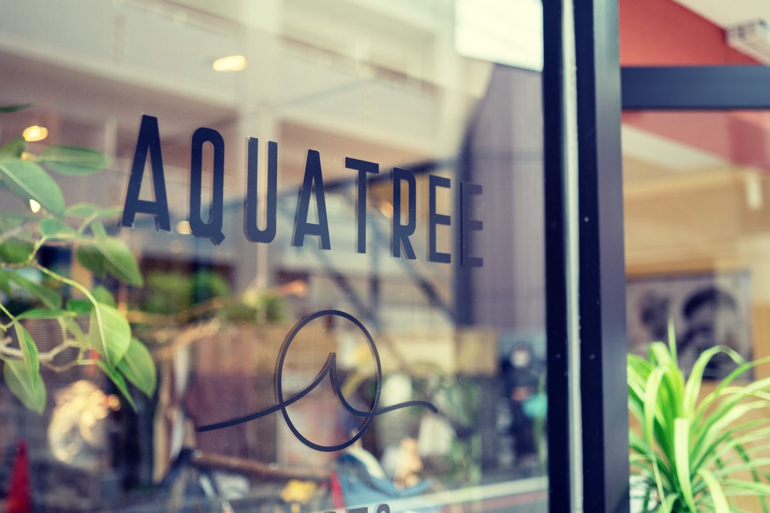 Information | AQUA TREE | 海や自然を感じる京都のセレクトショップ